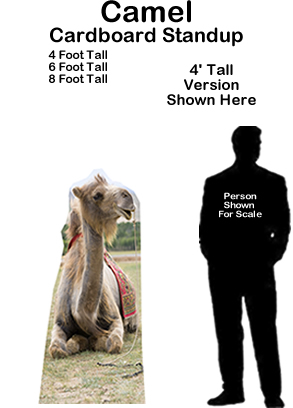 Camel Cardboard Cutout Standup Prop - Dino Rentos Studios, INC.