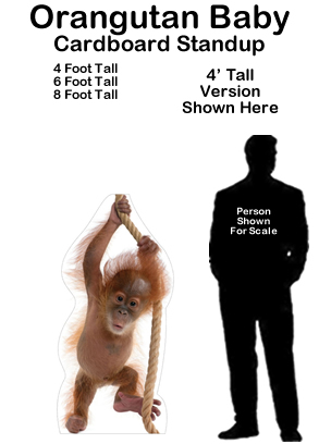 Orangutan Baby Cardboard Cutout Standup Prop - Dino Rentos Studios, INC.